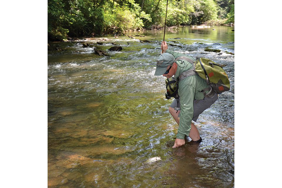 Destinations For Winter Trout - Coastal Angler & The Angler Magazine