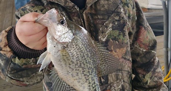 ‘New Year’s Crappie’ - Coastal Angler & The Angler Magazine