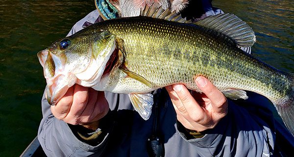 Arctic Tactics - Coastal Angler & The Angler Magazine