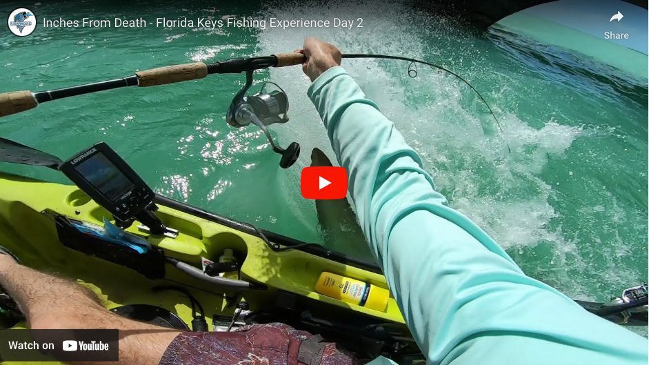 Close Call With A Shark On A Kayak - Coastal Angler & The Angler Magazine