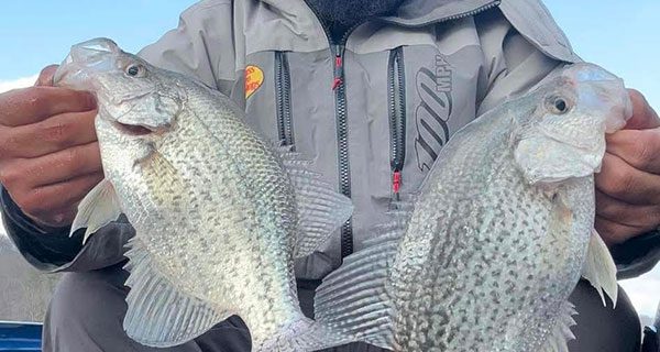 Tactics For Spring Crappie! - Coastal Angler & The Angler Magazine