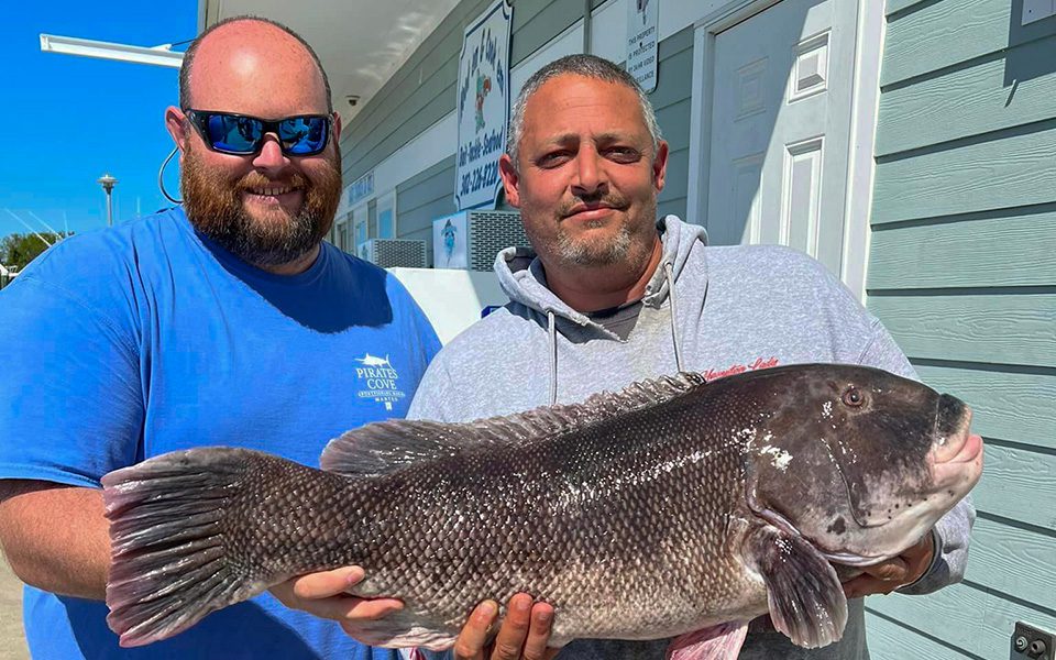 State Record Blackfish Caught Off Delaware - Coastal Angler & The ...
