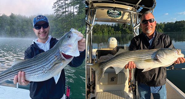 Lake Hiwassee Trophy Stripers - Coastal Angler & The Angler Magazine