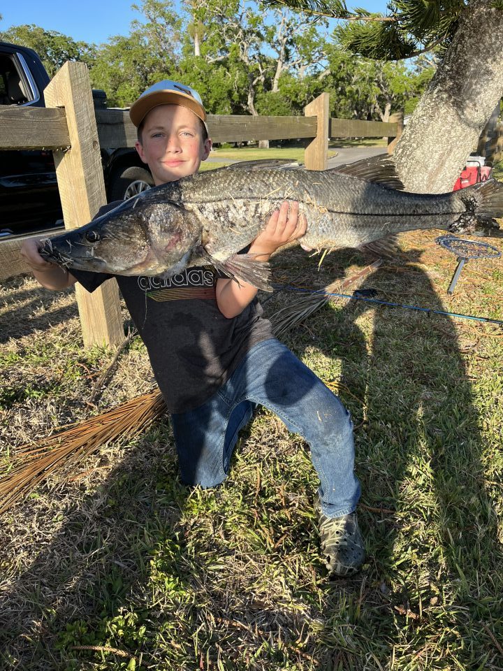 41” snook got in mouth of manatee river - Coastal Angler & The Angler ...