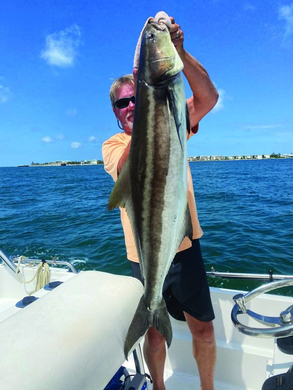 Tom Smith caught this 43” cobia at Boca Grande Pass. - Coastal Angler & The Angler Magazine