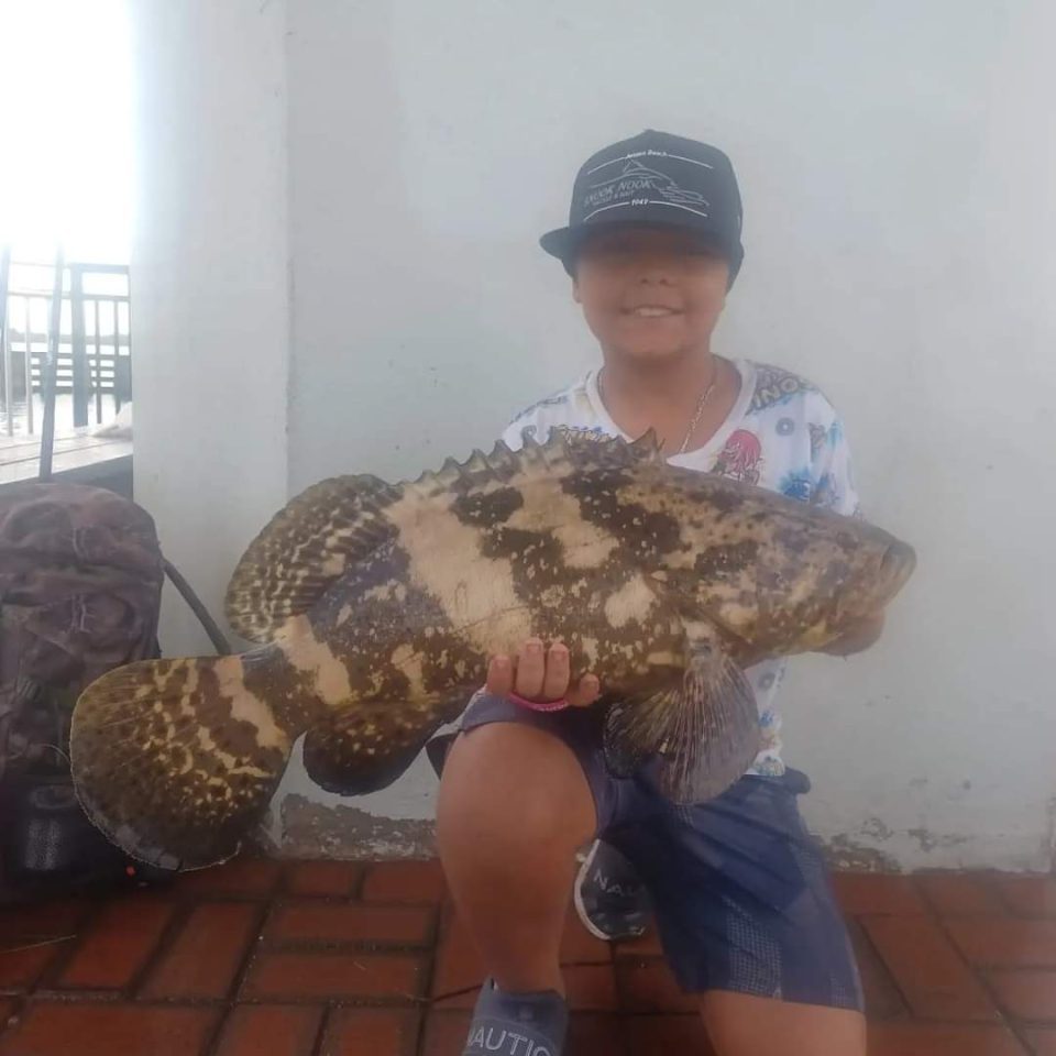 Juvenile Goliath - Coastal Angler & The Angler Magazine