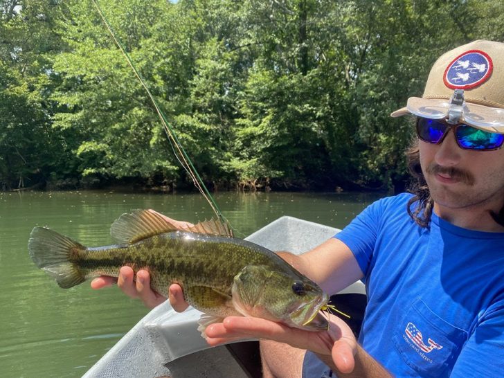 Tennessee River Bass Popping Off - Coastal Angler & The Angler Magazine