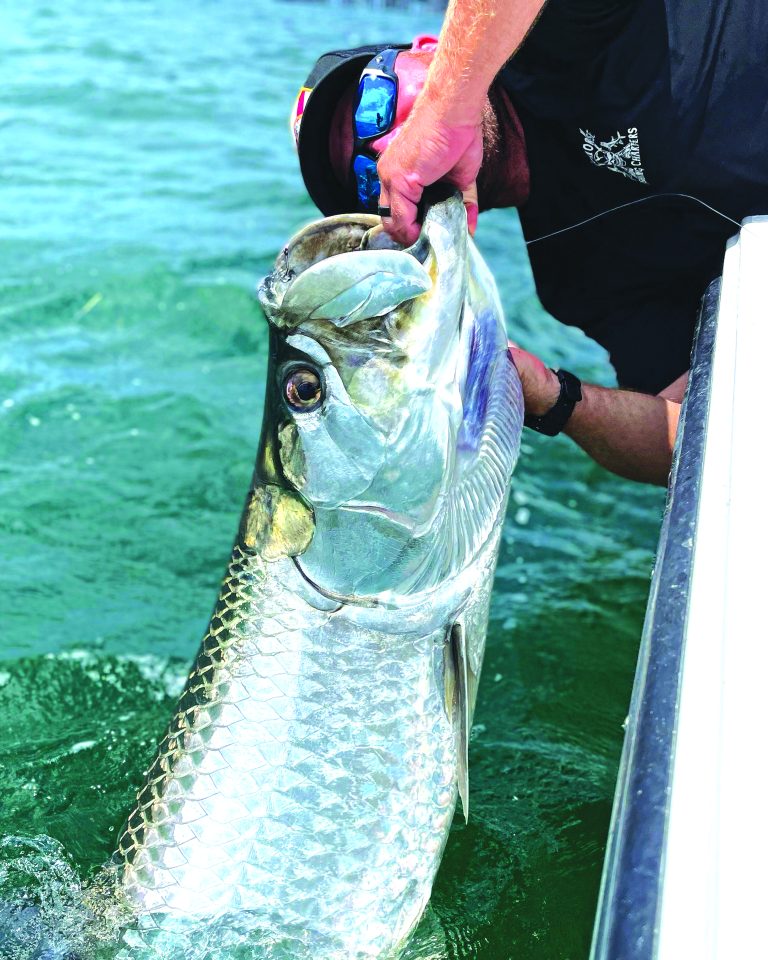 The Science of Tides - Coastal Angler & The Angler Magazine