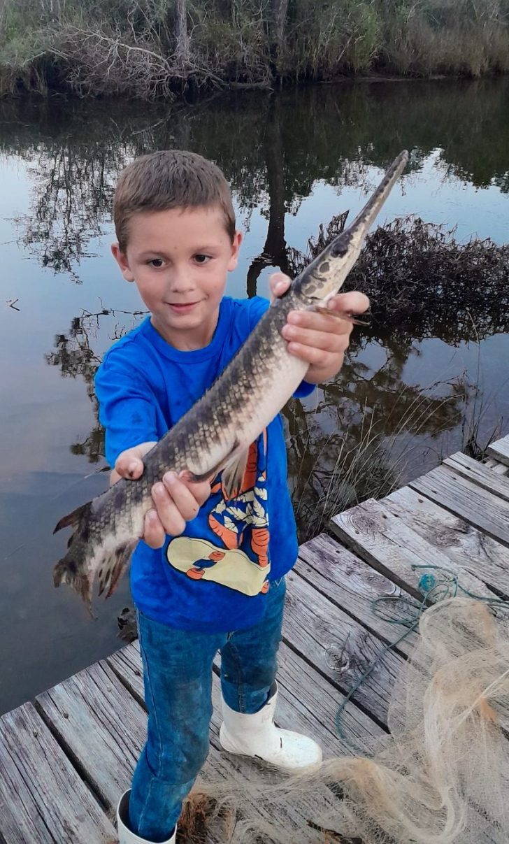 Mason’s Spotted Gar caught in cast net! - Coastal Angler & The Angler ...