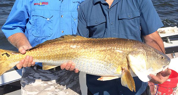 Fishing the Transition - Coastal Angler & The Angler Magazine