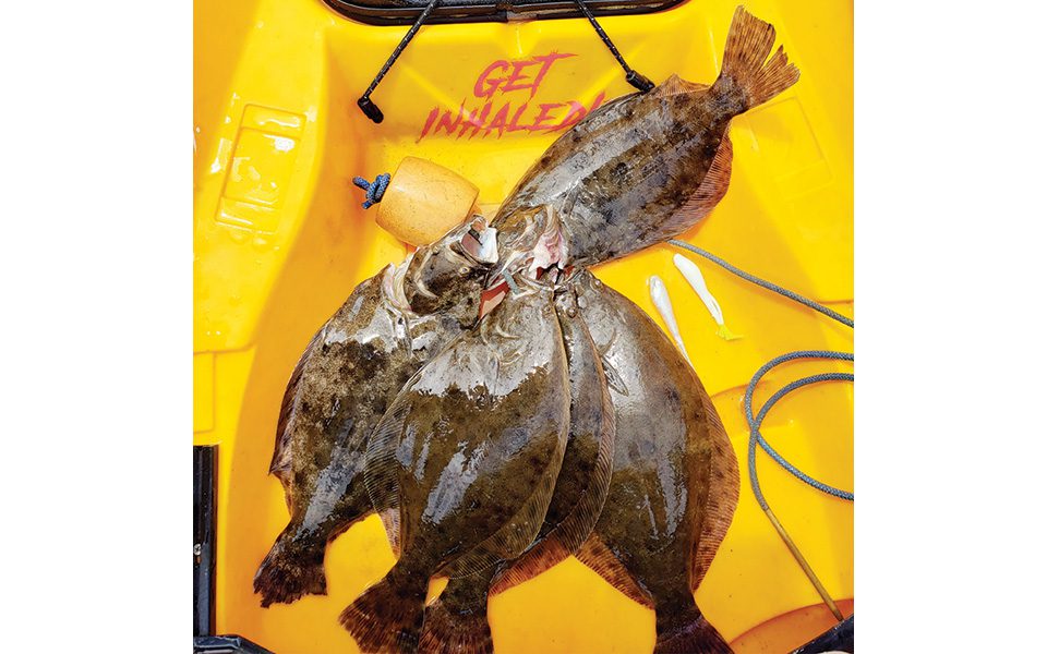 Adapting To Seasons And Situations - Coastal Angler & The Angler Magazine