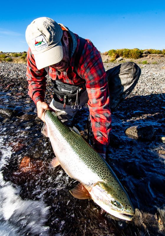 Rio Pico, Argentina: Big Patagonia Trout Adventure - Coastal Angler ...