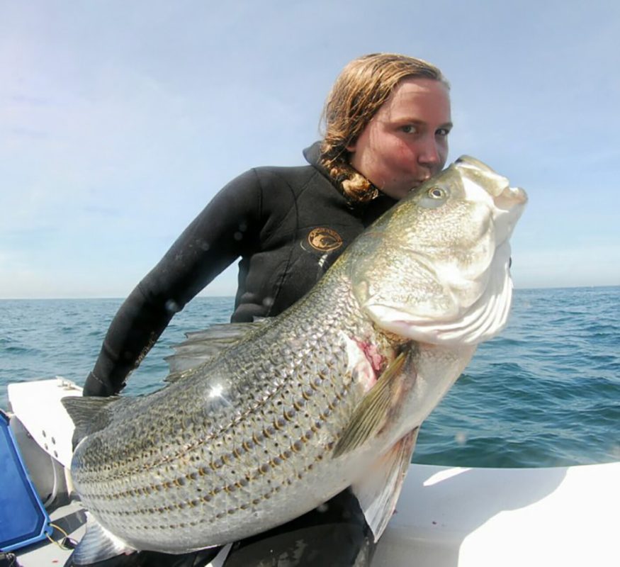 Swimming In New England Striper Schools - Coastal Angler & The Angler ...