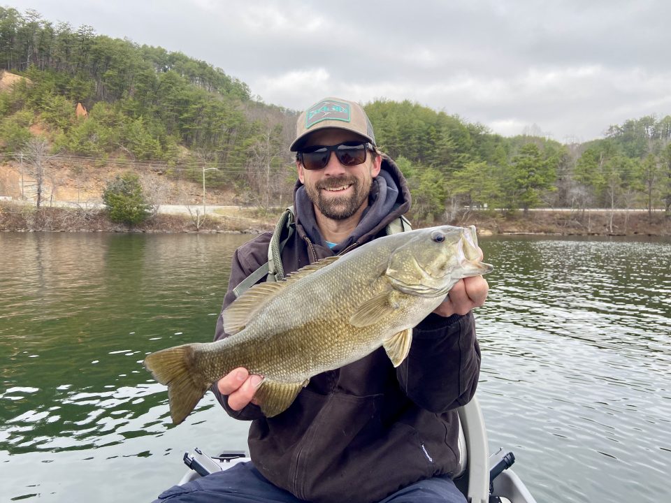 Smallmouth Bass in Watauga Lake. - Coastal Angler & The Angler Magazine