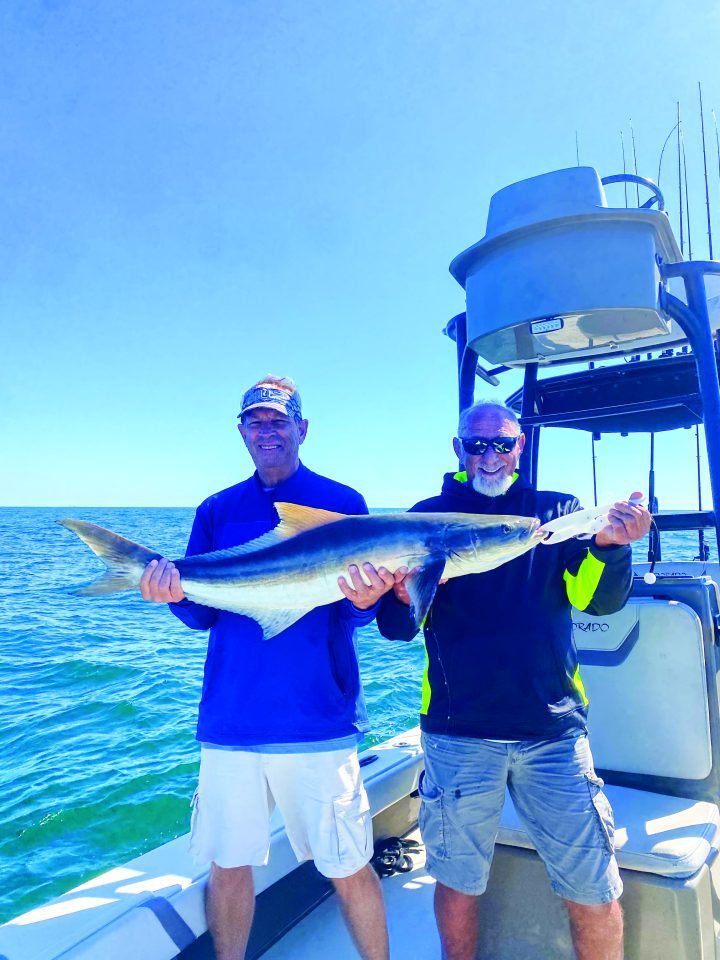 Kip Traffican and Jim Partyka caught a nice cobia on a near shore wreck ...