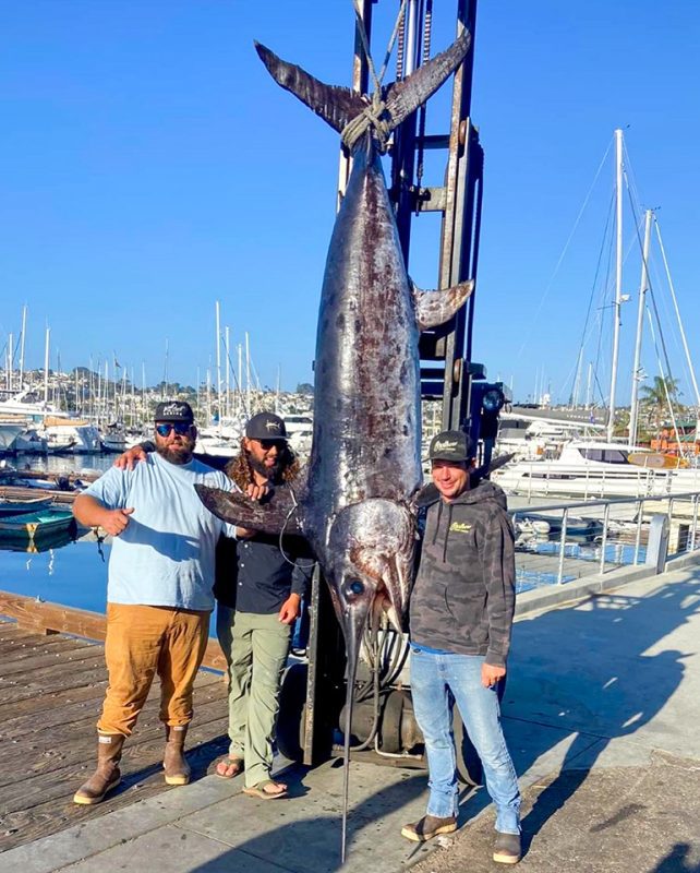 520-Pound Broadbill Crushes California Record - Coastal Angler & The ...