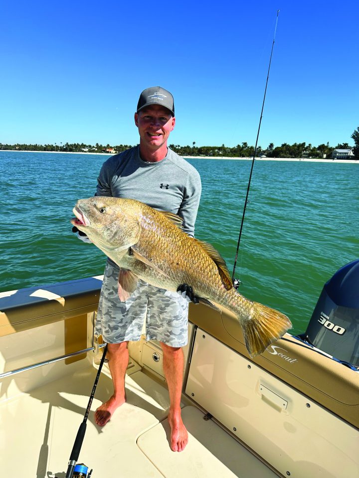 Tim Wheeler caught this 40” drum while anchored just off the Naples ...