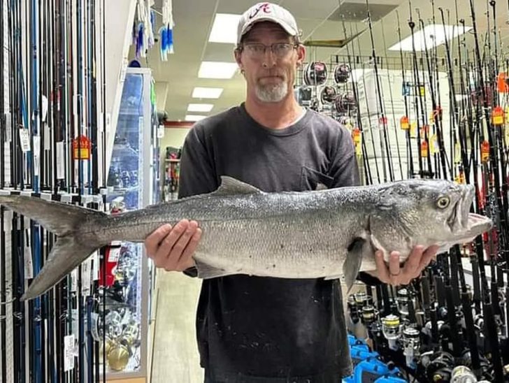 Monster Bluefish Breaks Decades-Old Record - Coastal Angler & The ...