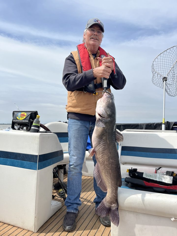 37″ Sandusky Bay MegaChannel Catfish - Coastal Angler & The Angler Magazine