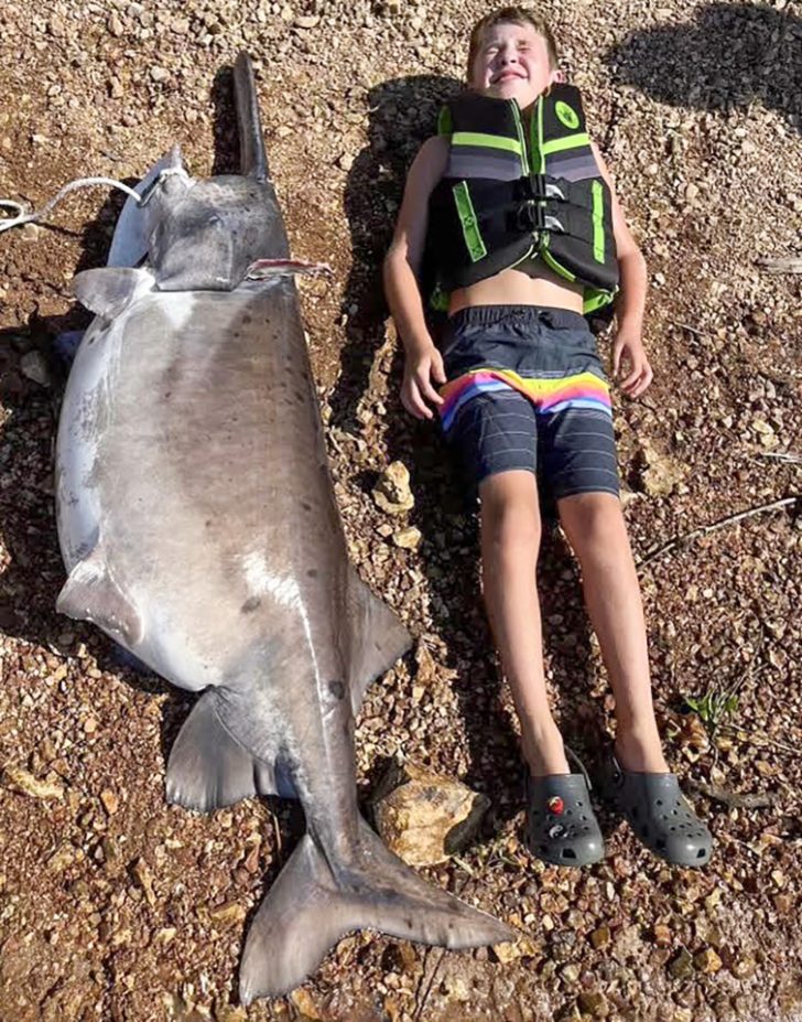 Striper Angler Snags Record Paddlefish - Coastal Angler & The Angler ...