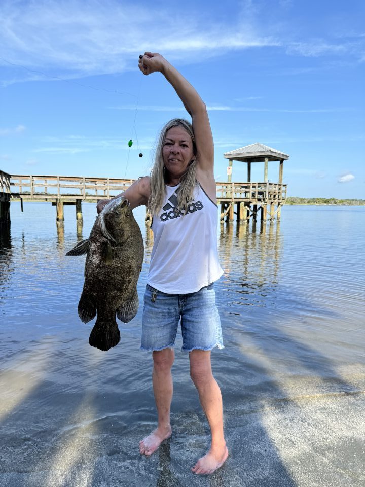 Bicentennial Tripletail - Coastal Angler & The Angler Magazine
