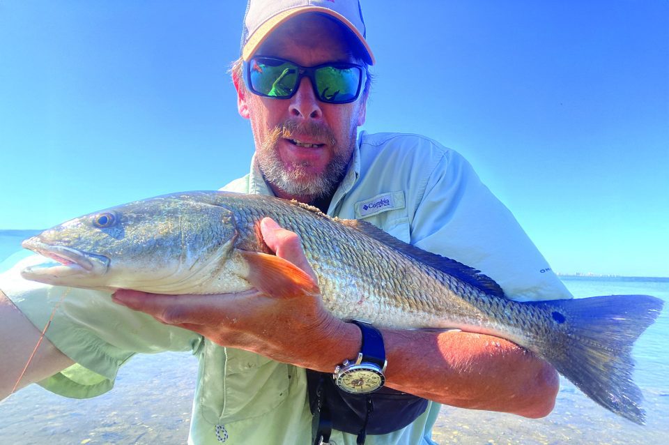 Sarasota life-David Walls with a beautiful 24” redfish on a DOA shrimp ...