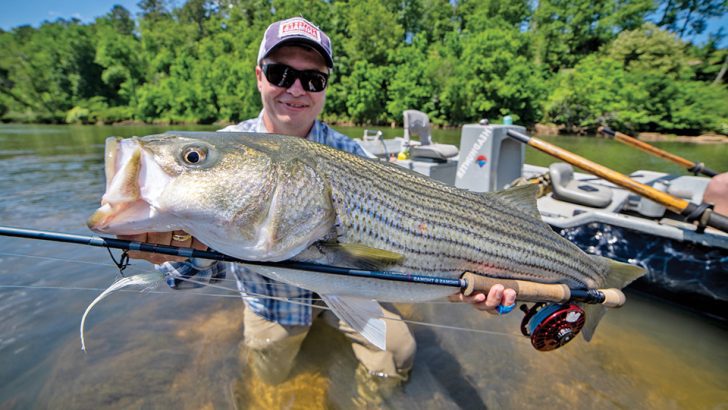 Mountain Tides of Southeastern Striper Runs - Coastal Angler & The ...