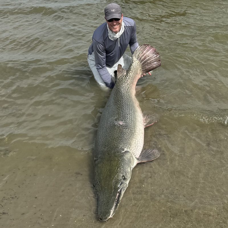 Record-Breaking Alligator Gar Caught by Art Weston - Coastal Angler ...