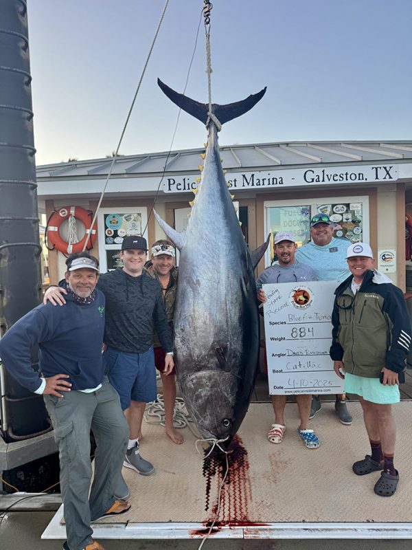 Gulf Giant: Angler Lands Record 884-Pound Bluefin Tuna Off Texas Coast ...