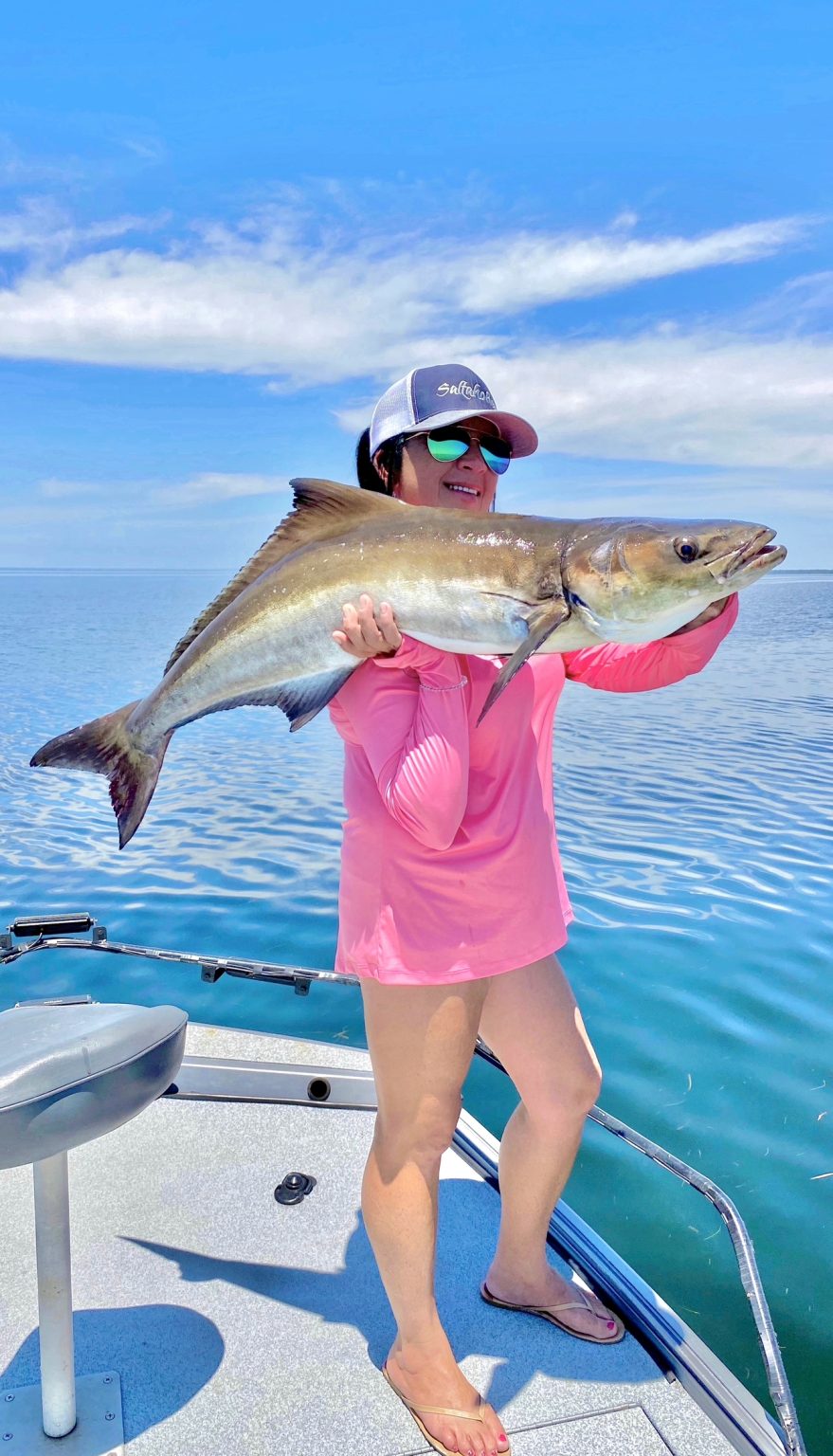 Cobia migration - Coastal Angler & The Angler Magazine