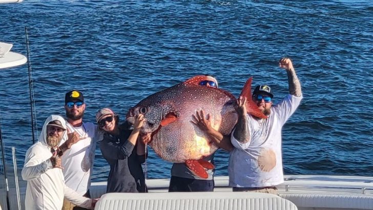 South Florida Angler Reels in Rare 148-Pound Opah off Fort Lauderdale ...
