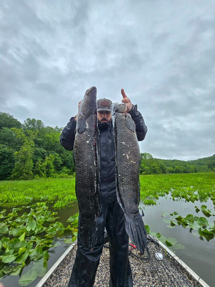 May Brings a Surge of Trophy Snakehead Catches Across the Chesapeake ...