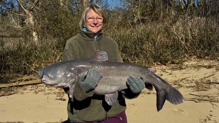 Pat Hutchinson Lands World Record Blue Catfish on Light Tackle ...