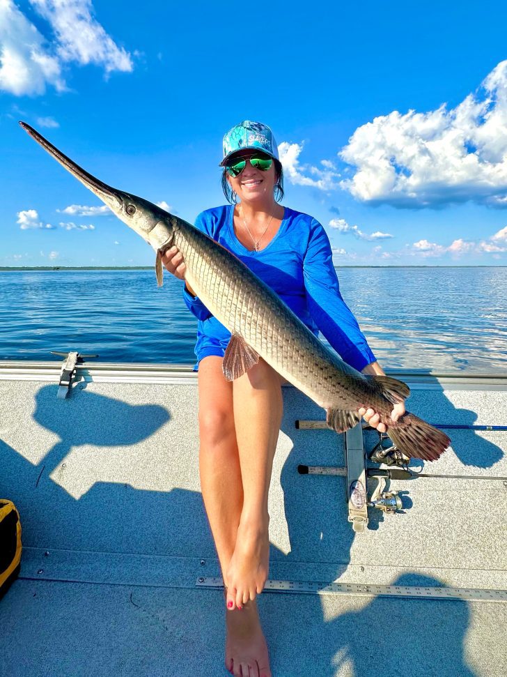 Spotted Gar - Coastal Angler & The Angler Magazine