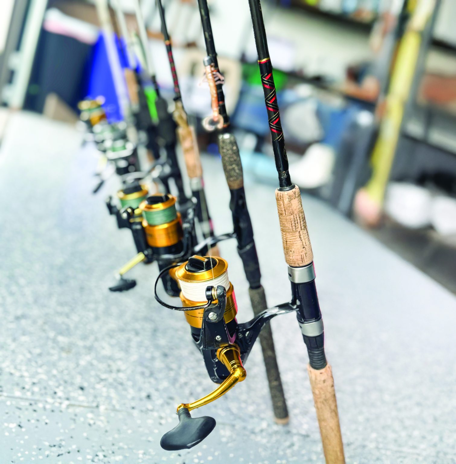 Reel Maintenance - Coastal Angler & The Angler Magazine