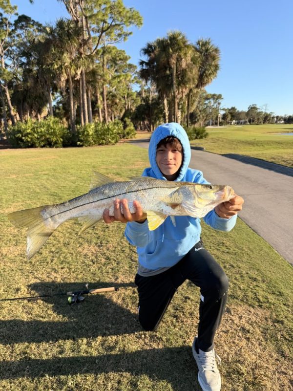 28 Inch Snook - Coastal Angler & The Angler Magazine