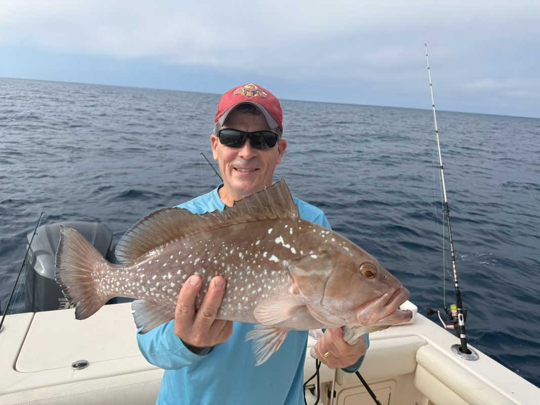 Mike Oxsmall w/ a nice red grouper, 105’ of water off Ft. Myers ...