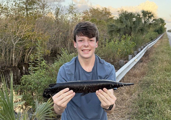 Not Your Typical Catch: Rare Melanistic Florida Gar Discovered in South ...