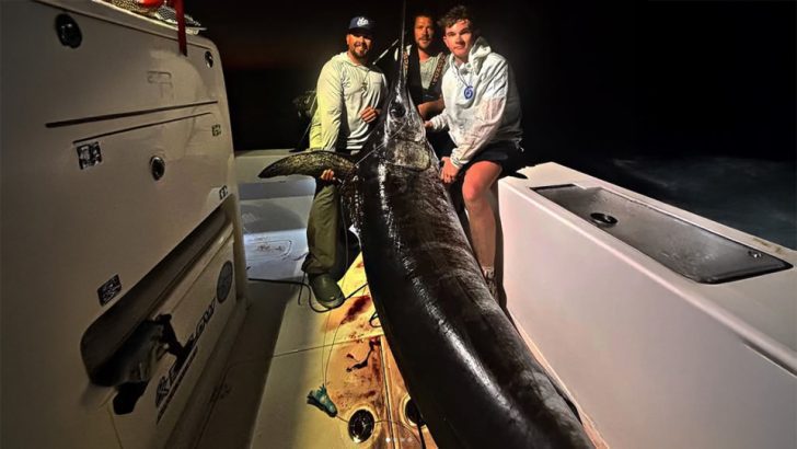 Captain Lands 500-Pound Swordfish, Feeds Entire Town - Coastal Angler ...